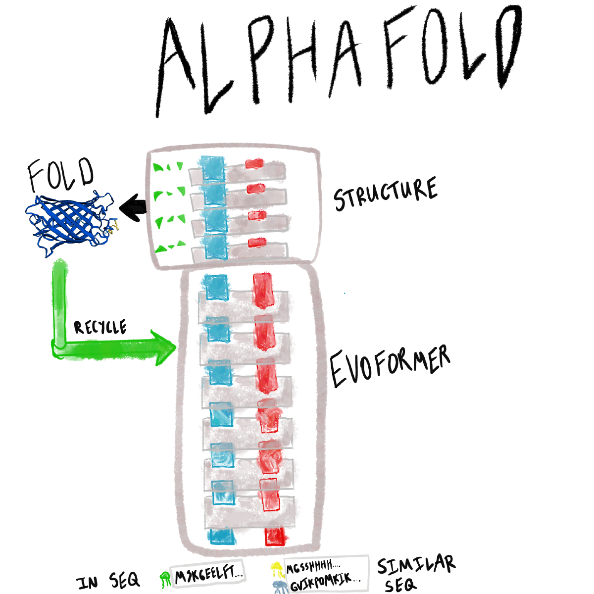 AlphaFold Architecture