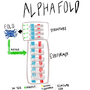 AlphaFold Architecture